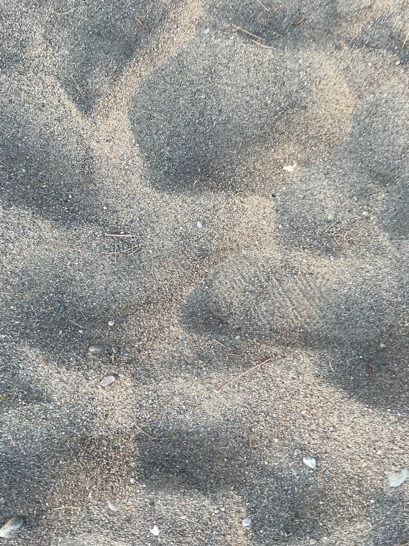 A Quick Guide to Skala Eressos, the Northern Aegean's Hippie Hangout ...